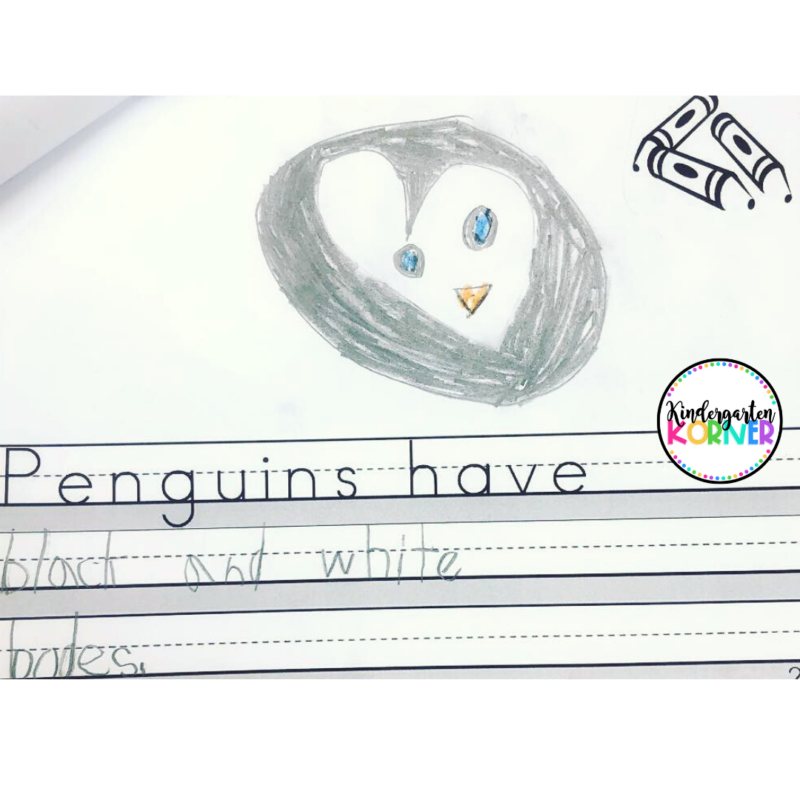 Penguins Research Report Writing Unit - Kindergarten Korner - A ...