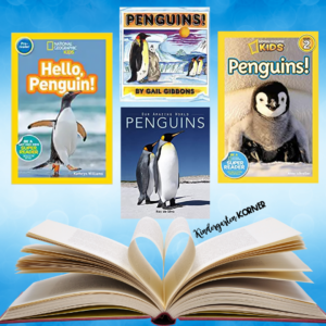 Penguins Research Report Writing Unit - Kindergarten Korner - A ...